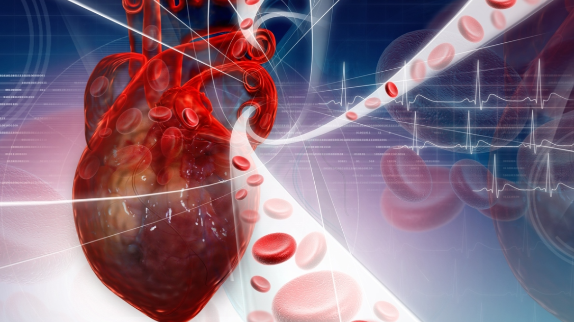 Bolile cardiovasculare – tipuri, cauze, diagnostic, tratament și ...